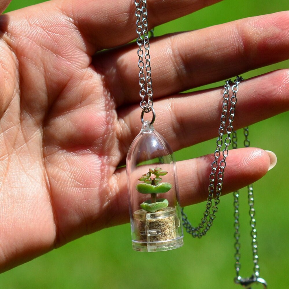 BooBooPlant - Etsy