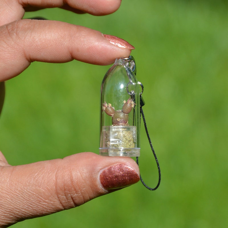 Little Boo Boo Keychain - Etsy