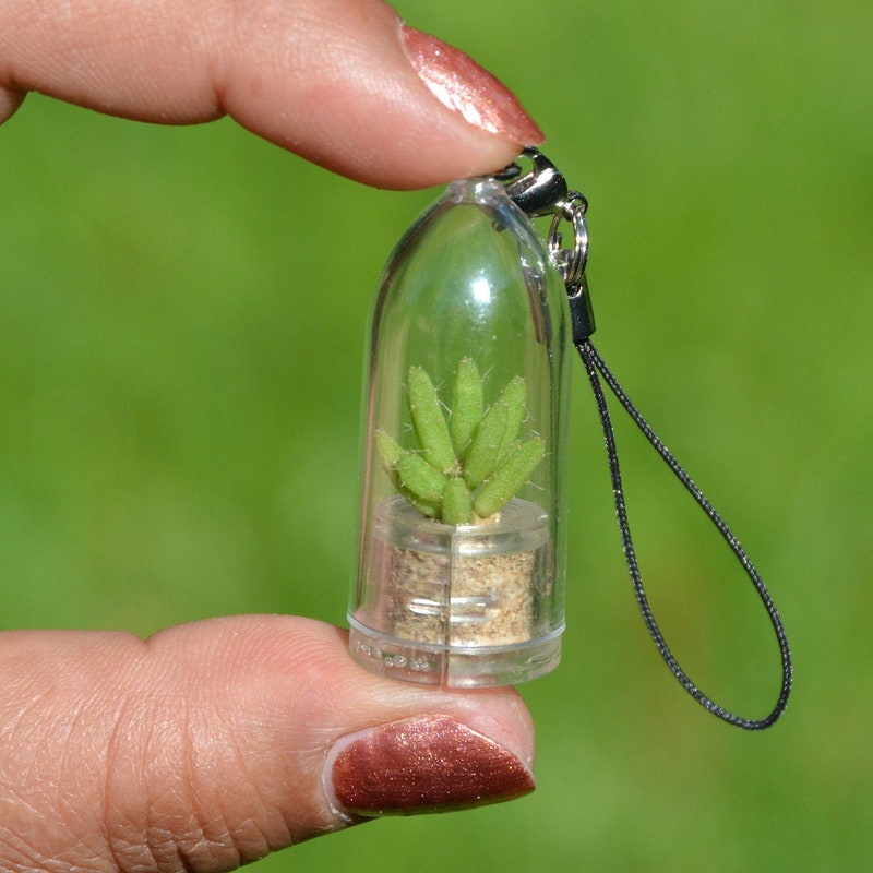 BooBooPlant - Etsy