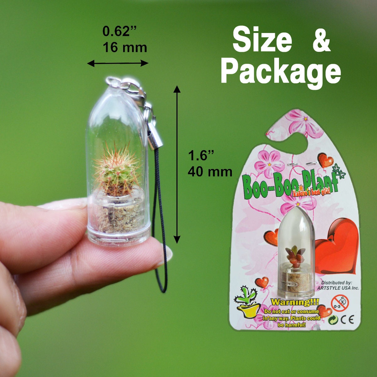 Live Tulip Necklace Plants - Succulent Terrarium Flower Necklace, Key ...