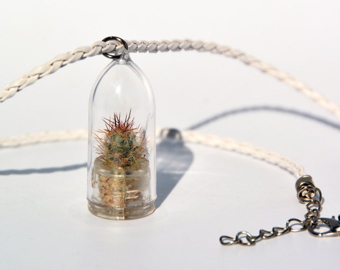 Arizona Cactus - Live Cacti Plant Necklace. Terrarium Flower Necklace ...
