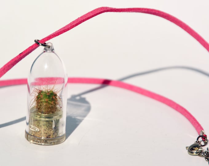 Goldy Cactus-live Terrarium Pet Plant Necklace, Key Chain, Fridge ...