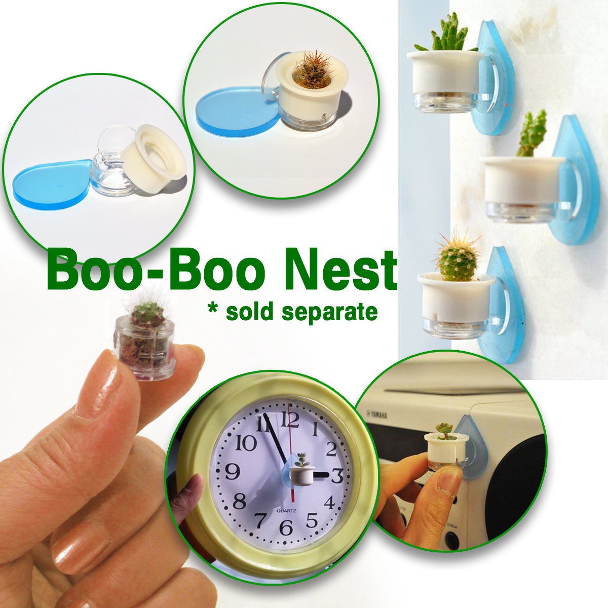 Mini Live Succulent Terrarium – "boo-boo Plant" Necklace, Keychain ...
