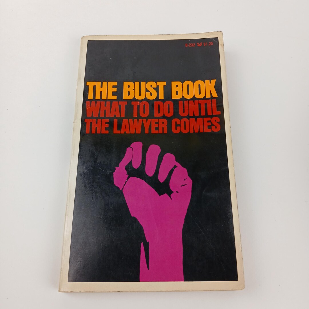 The Bust Book 1960s Civil Rights Movement Chicago Organize Social ...