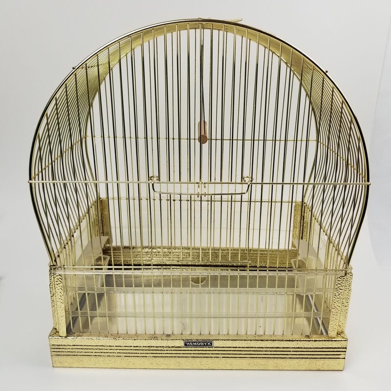 Vintage Canary Bird Art - Etsy UK