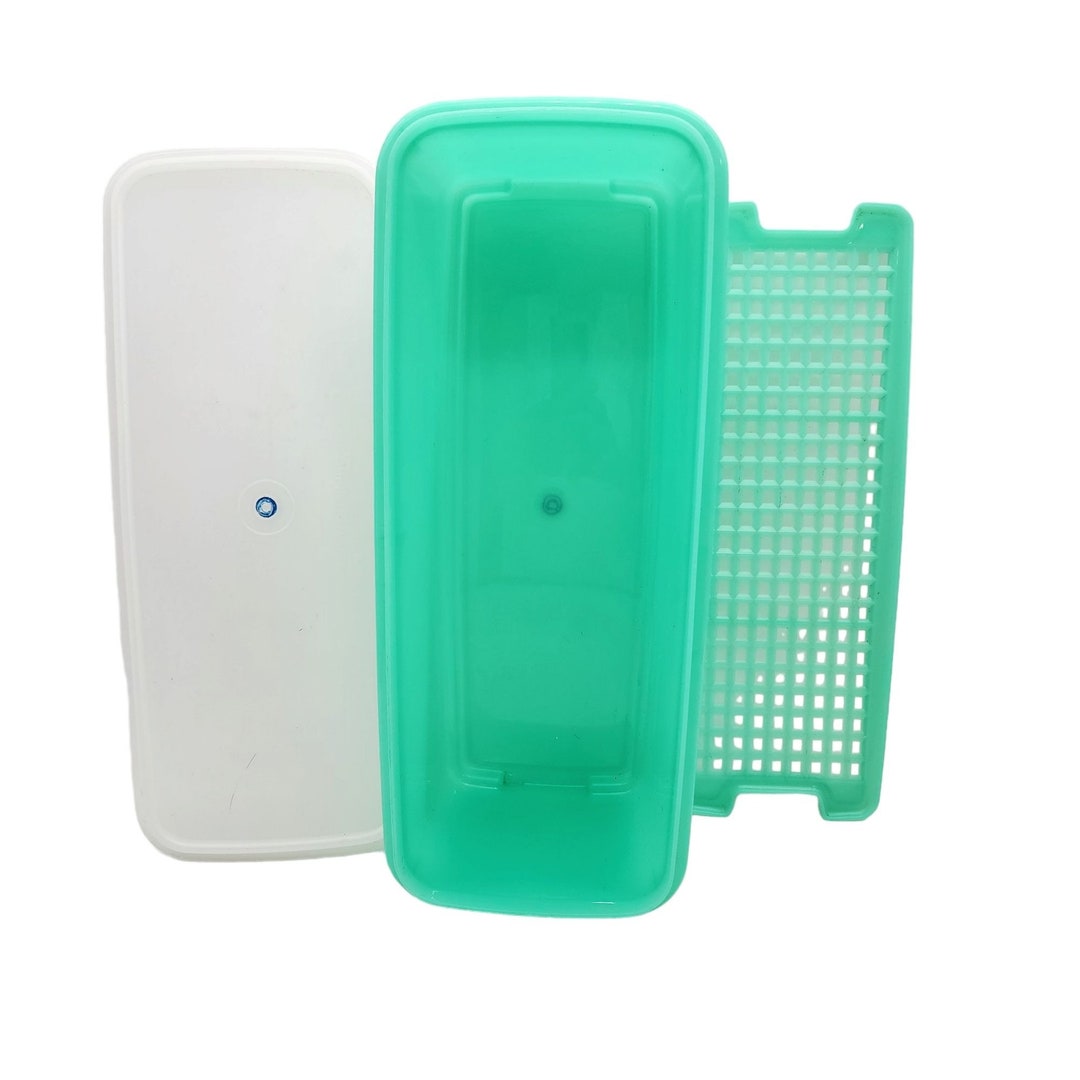 70s Tupperware Fresh Herb Keeper Celery Vegetable Storage Container ...