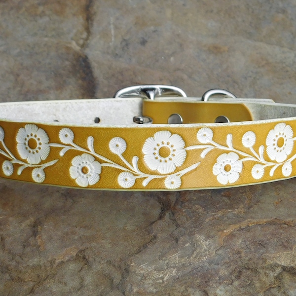 Female Dog Collar - Etsy
