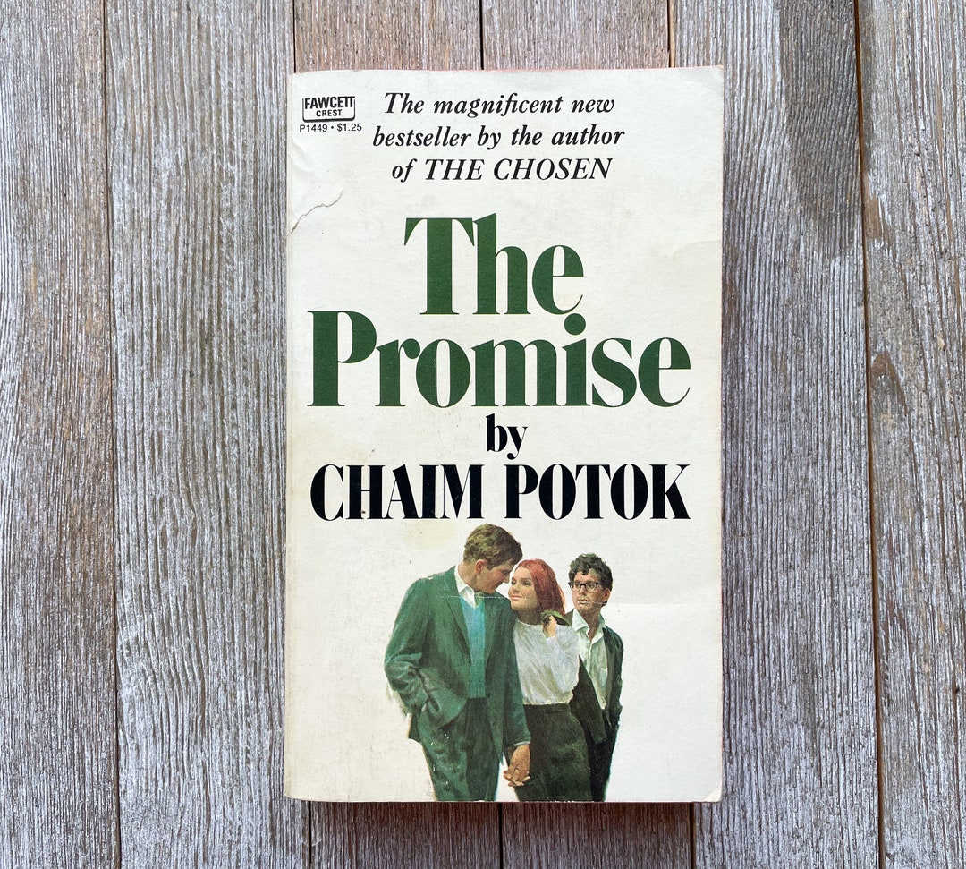 The Promise | Chaim Potok | 1970 | Vintage Paperback Book - Etsy