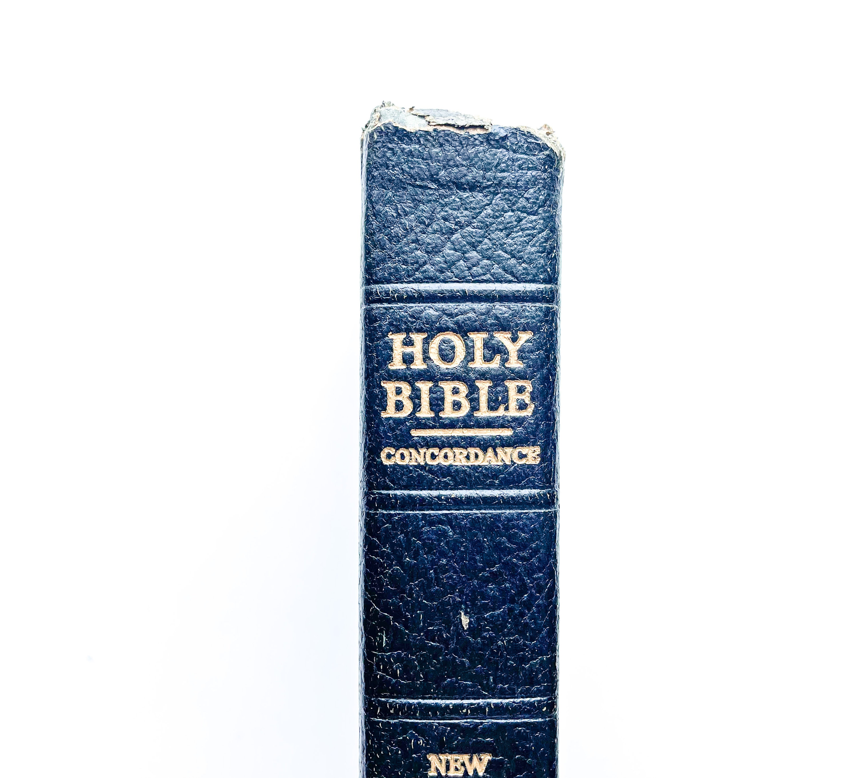 Bible Concordance
