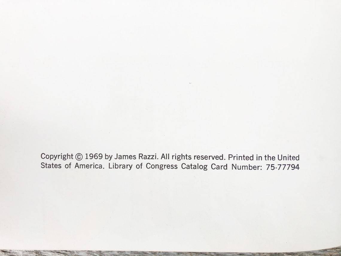 Easy Does It Things to Make and Do by James Razzi 1969 - Etsy