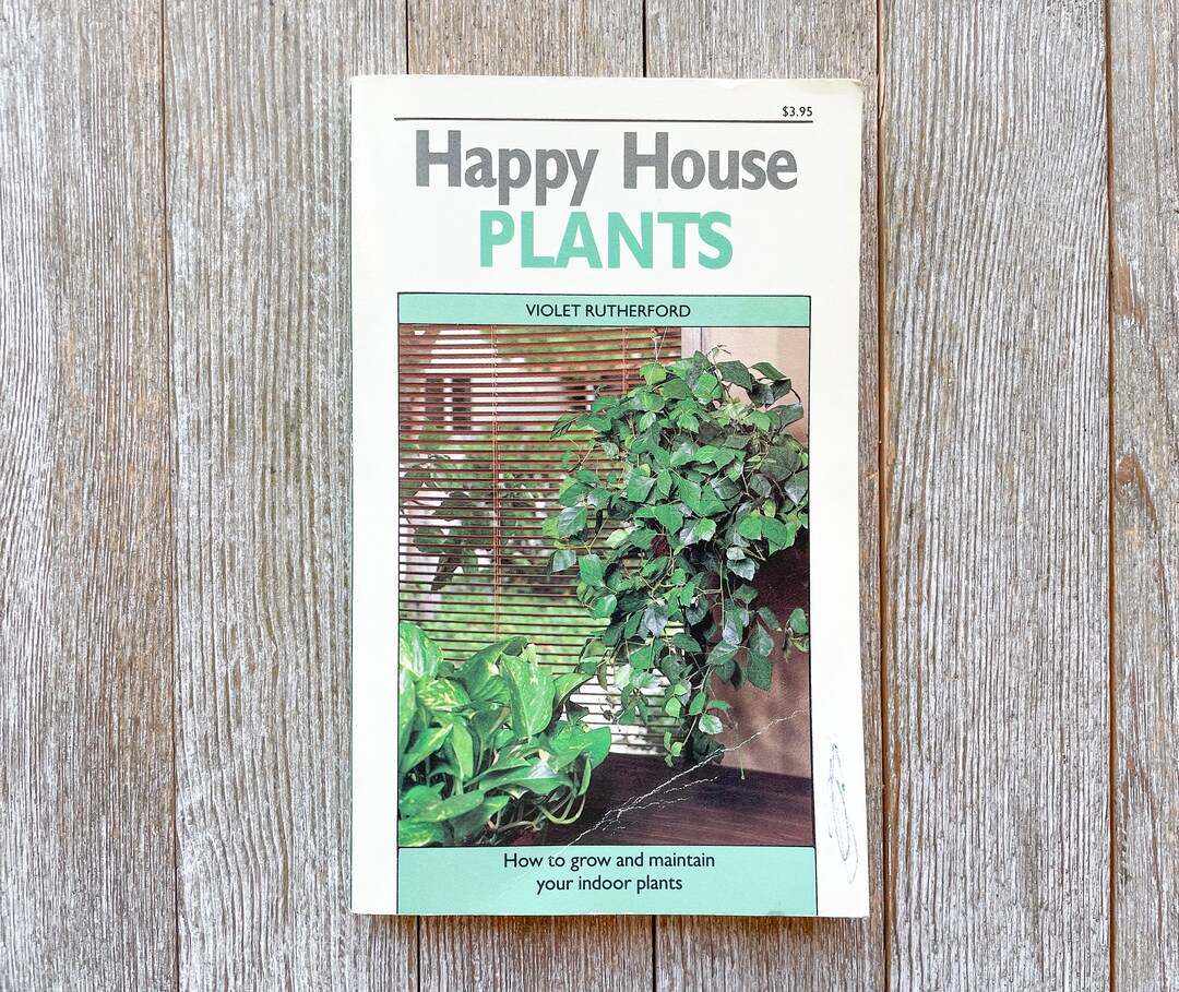 Happy House Plants | by Violet Rutherford | How to Grow Happy House ...