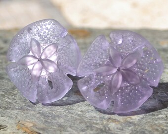 Sand Dollar Knobs | Etsy