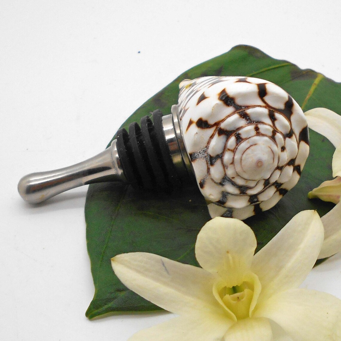 Bottle Topper / REAL Sea Shell Wine Bottle Stopper Wine - Etsy