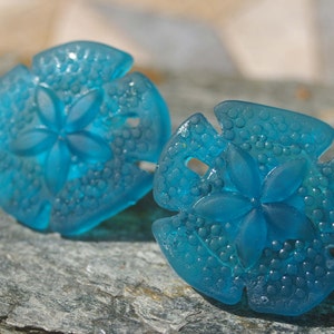 Knobs / SAND DOLLAR / Beach Glass Knobs Cabinet Knobs Beach | Etsy