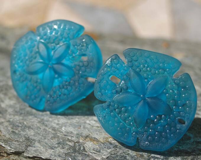 Knobs / SAND DOLLAR / Beach Glass Knobs Cabinet Knobs Beach - Etsy