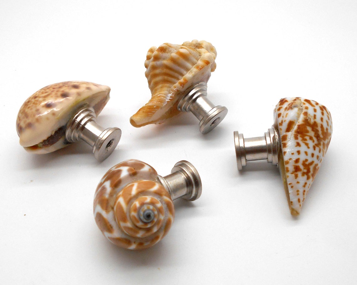 Knobs Shell Knobs Cabinet Knobs Set of 4 Shell Cabinet | Etsy