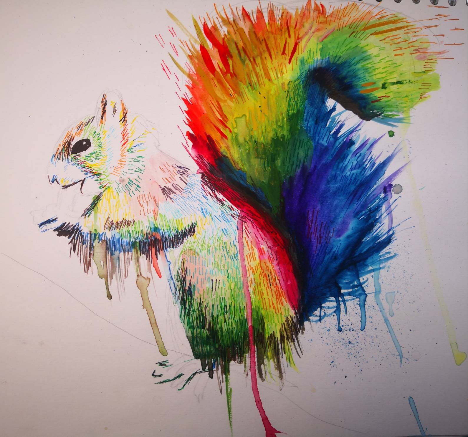 Fine Art Print Fine Art Squirrel 12x12 Painting Rainbow Animal - Etsy ...