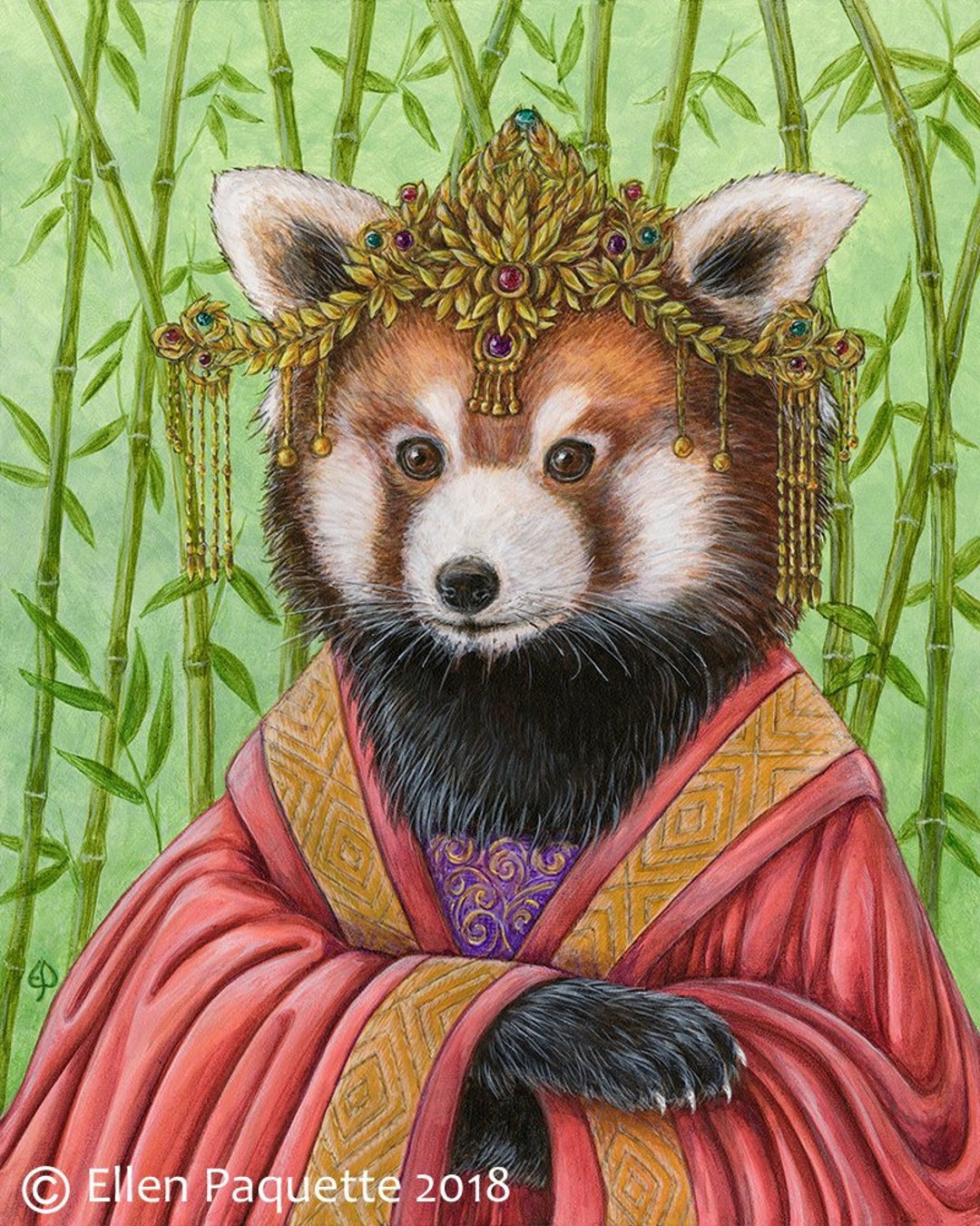 Princess Guanyi Red Panda Portrait Endangered Species China Tibet Nepal ...