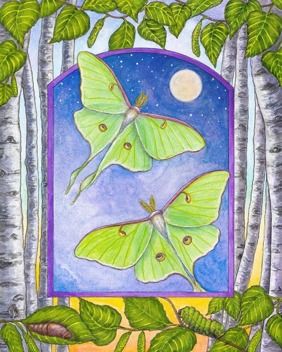 Luna Moths Fine Art Print Birch Trees Moth Life Cycle Full Moon Night ...