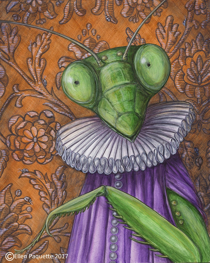 Lady Mantis Praying Mantis Limited Edition Fine Art Print Renaissance ...