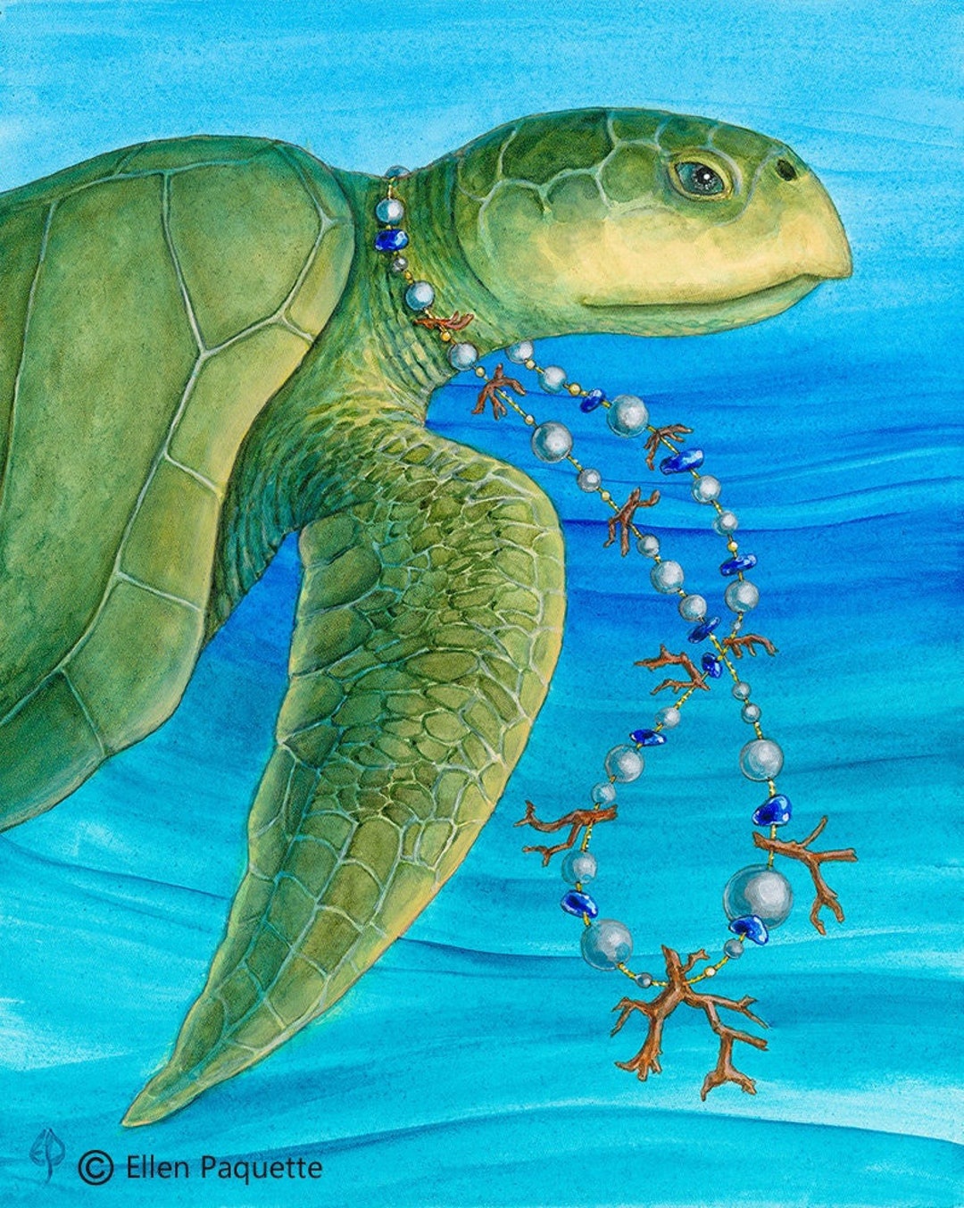 Queen of the Sea - Kemp's Ridley Sea Turtle Critically Endangered Ocean ...