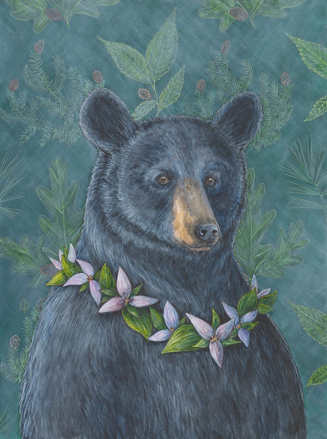 Ursa Major Black Bear Portrait Animal Art Giclee Print - Etsy
