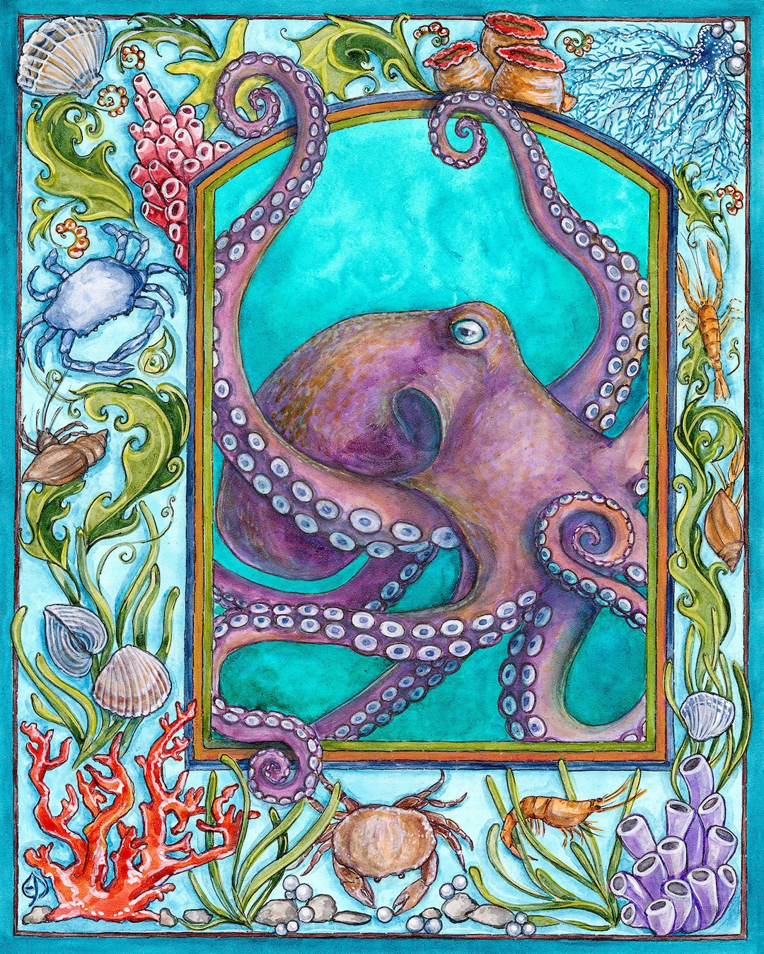 Octavia Common Octopus Portrait Cephalopod Medieval Illuminated ...