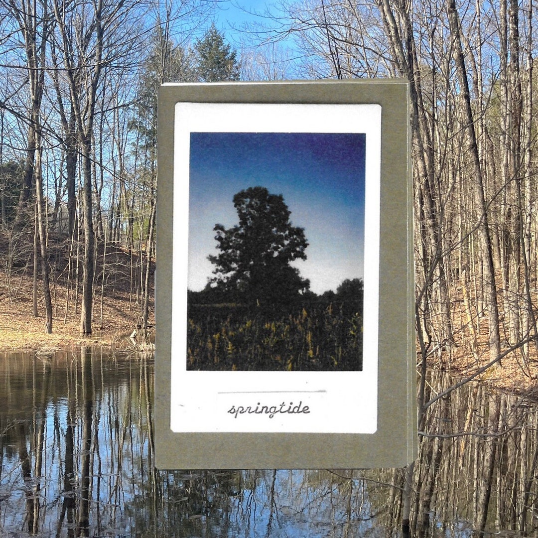 Springtide: Mini-zine of Photos and Poetry About Water, Embodied Memory, and the Melancholy of ...