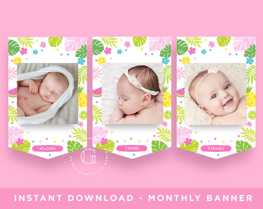 Flamingo 1st Year Banner. Monthly Banner. First Birthday. Flamingo ...
