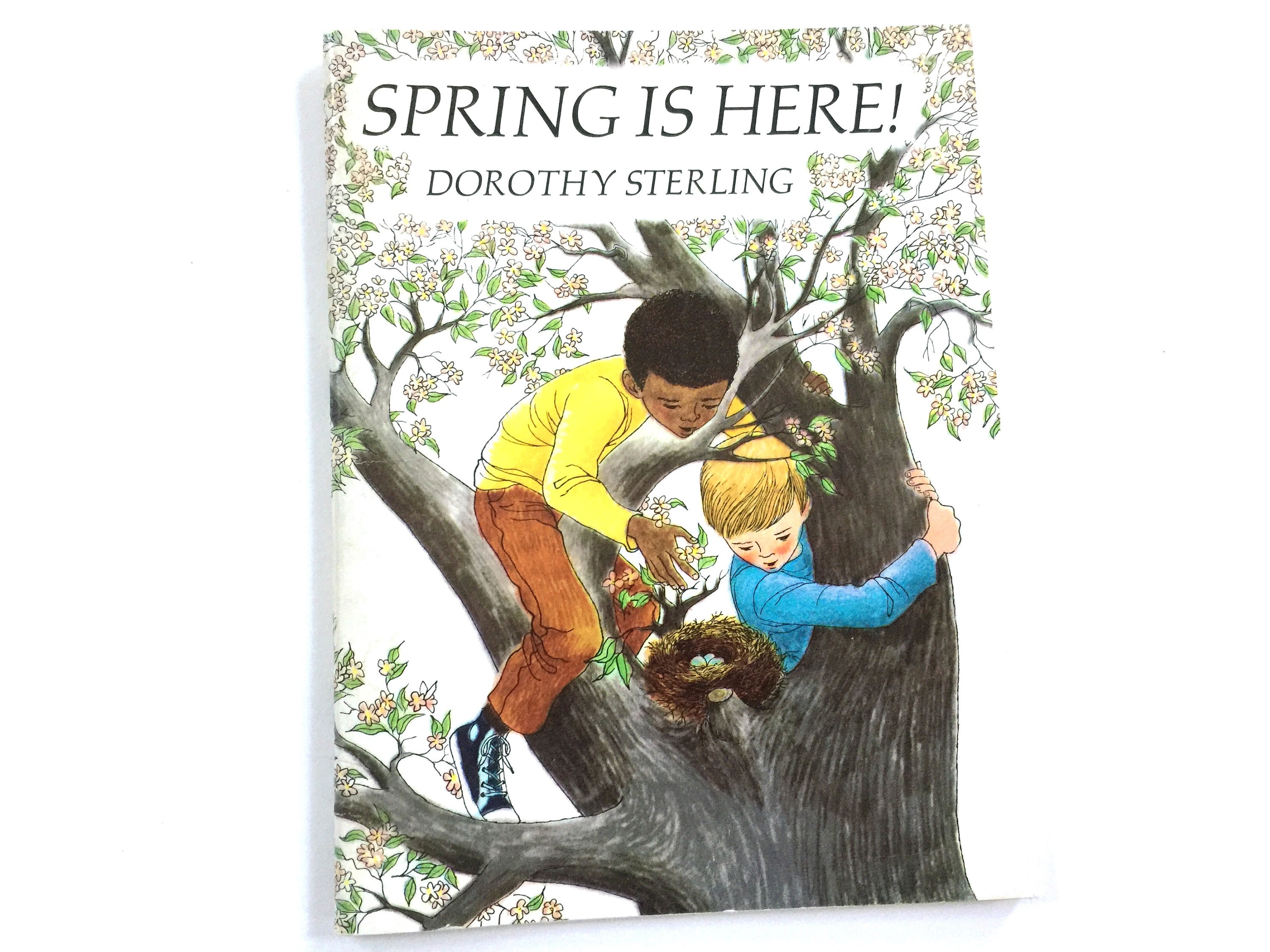 Spring Is Here Book