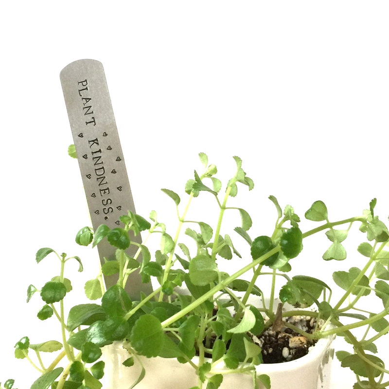 Plant Markers - Etsy