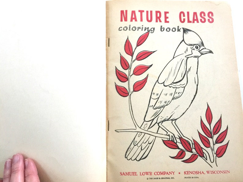 Nature Class Vintage Coloring Book Children's 1965 Outdoor | Etsy