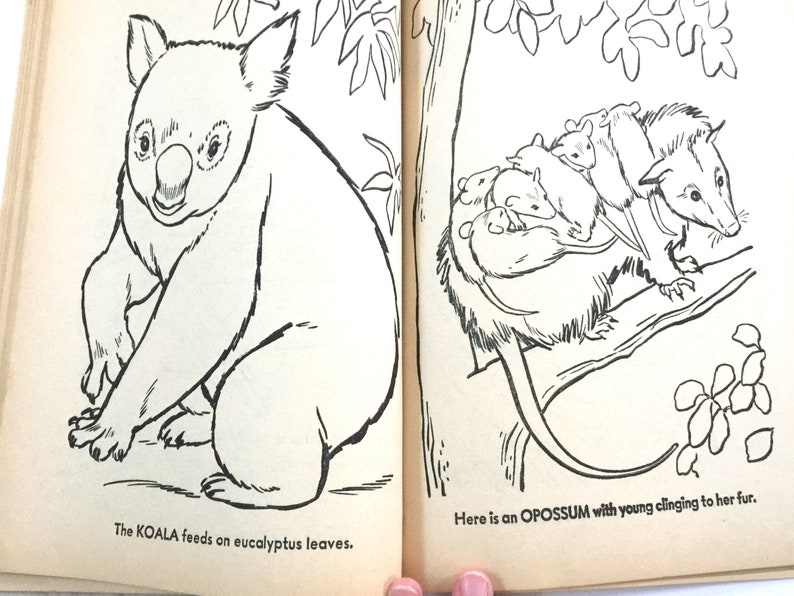 Nature Class Vintage Coloring Book Children's 1965 Outdoor | Etsy