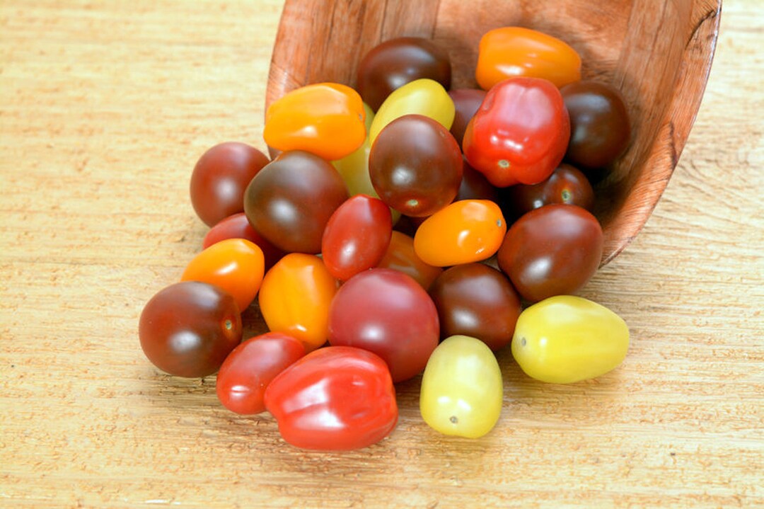 Tomato Seeds serendipity's Rainbow Cherry Mix Tomato 20 Vegetable Seeds ...
