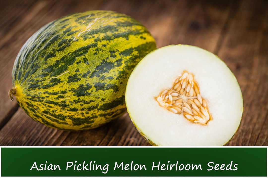 Vegetable Seeds- Asian Pickling Melon - 10 Heirloom Seeds -cucumis Melo ...