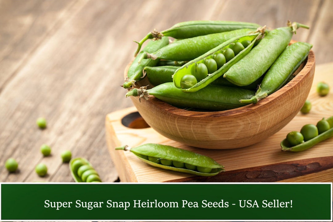 SUPER Sugar Snap Pea Heirloom 100 Seeds garden Vegetable Cool Weather ...