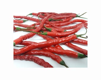Joes Long Cayenne Heirloom Pepper Premium Seed Packet More - Etsy