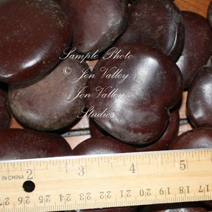 Tropical Seeds-st. Thomas Bean 2 Rare Giant Seeds see Listing tropical ...