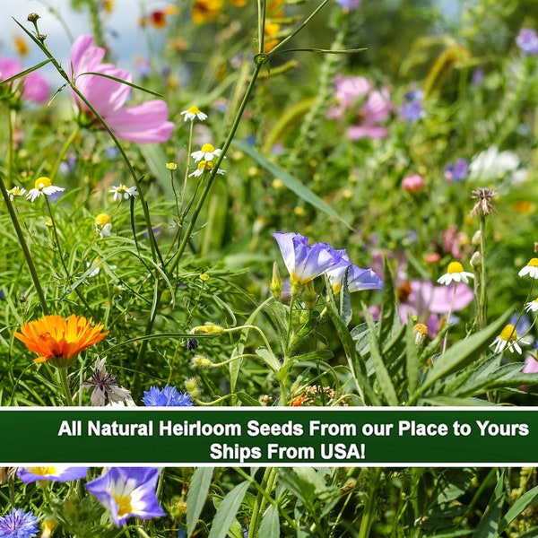 Pacific Northwest Seed Mix - Etsy