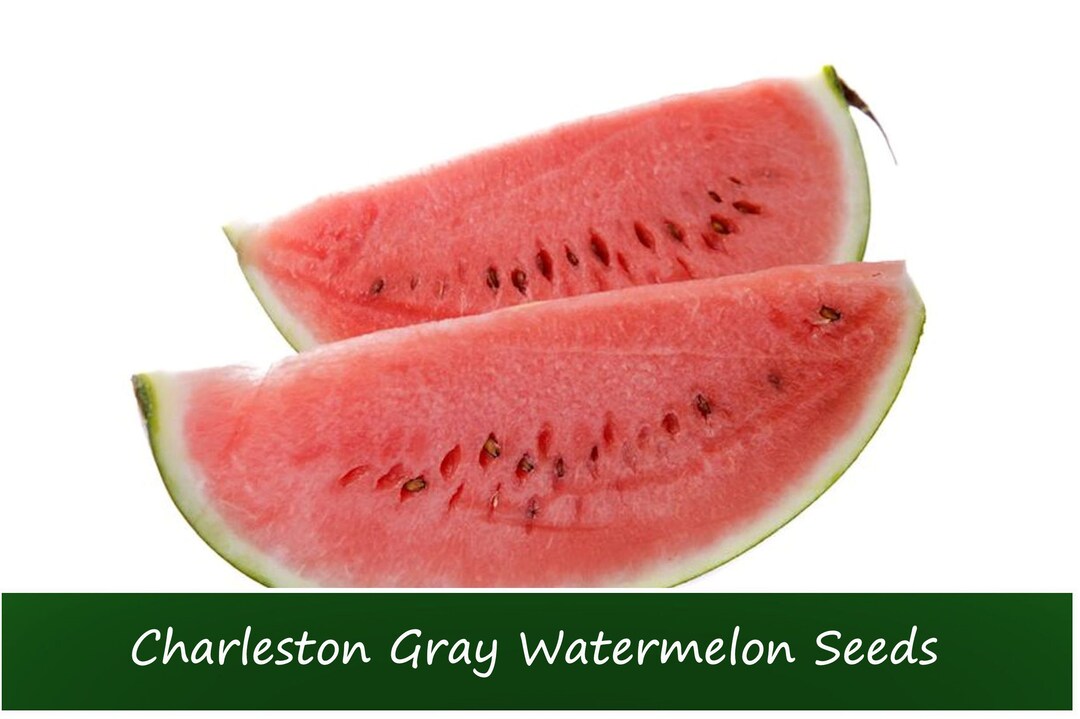 Vegetable Seeds-charleston Gray Watermelon 20 Seeds Heirloom All ...