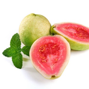 Tropical Seeds Tropical Guava red Apple 10 Seeds Psidium Guajava see ...