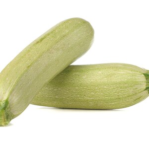 Summer White Zucchini Squash bianco Di Trieste 20 Seeds heirloom ...