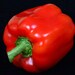 Organic Emmer Farro 50 Seeds starter Pack ancient Heirloom Wheat Grain ...