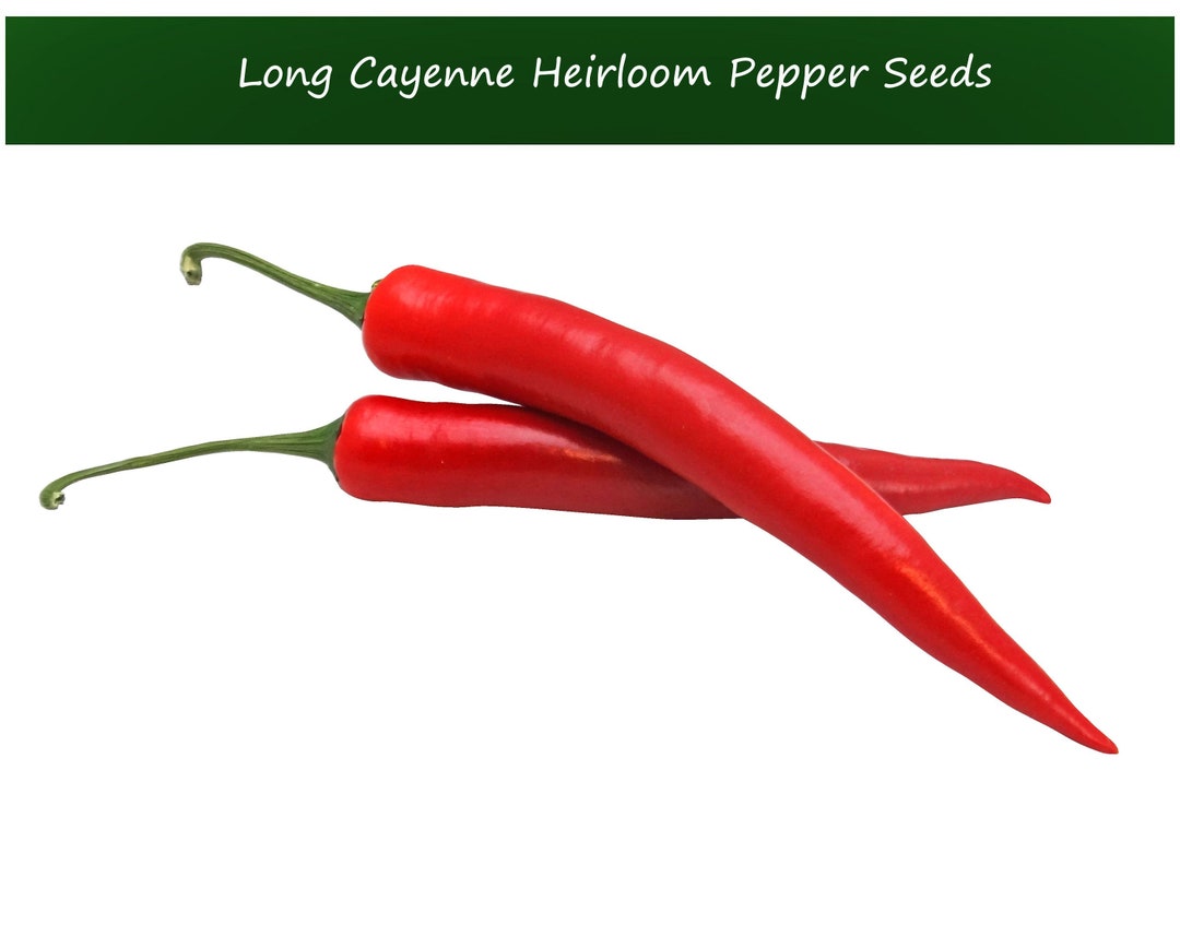 20 All Natural Heirloom Pepper Seeds-cayenne Long Red Pepper- Vegetable ...
