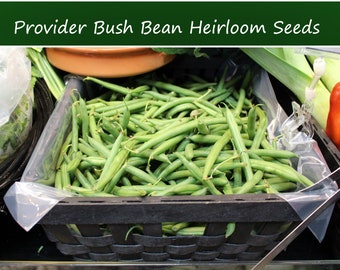 Bean Garden Bountiful Bush Bean Seed - Etsy