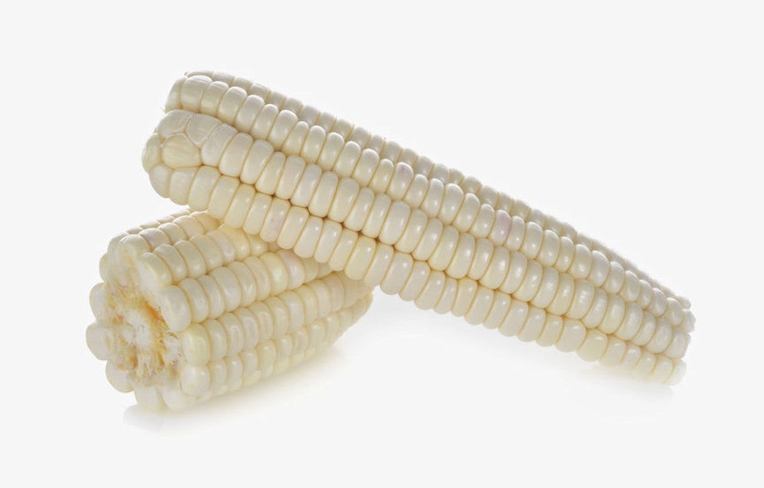 20 Heirloom Silver King Corn Seeds-buy More Save More-mix & Match! - Etsy