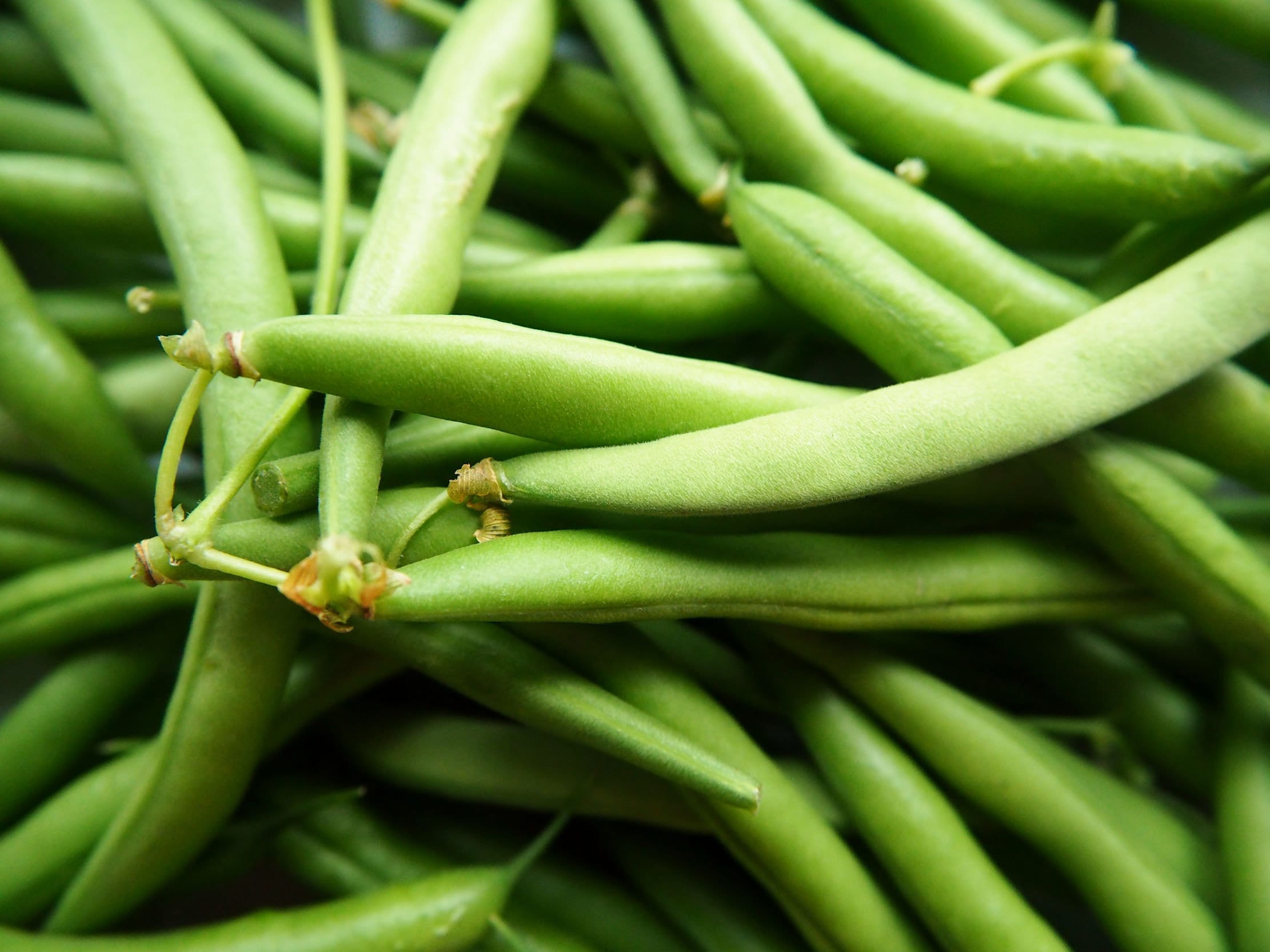25 Heirloom All Natural White Half Runner Green Bean Seeds - Etsy