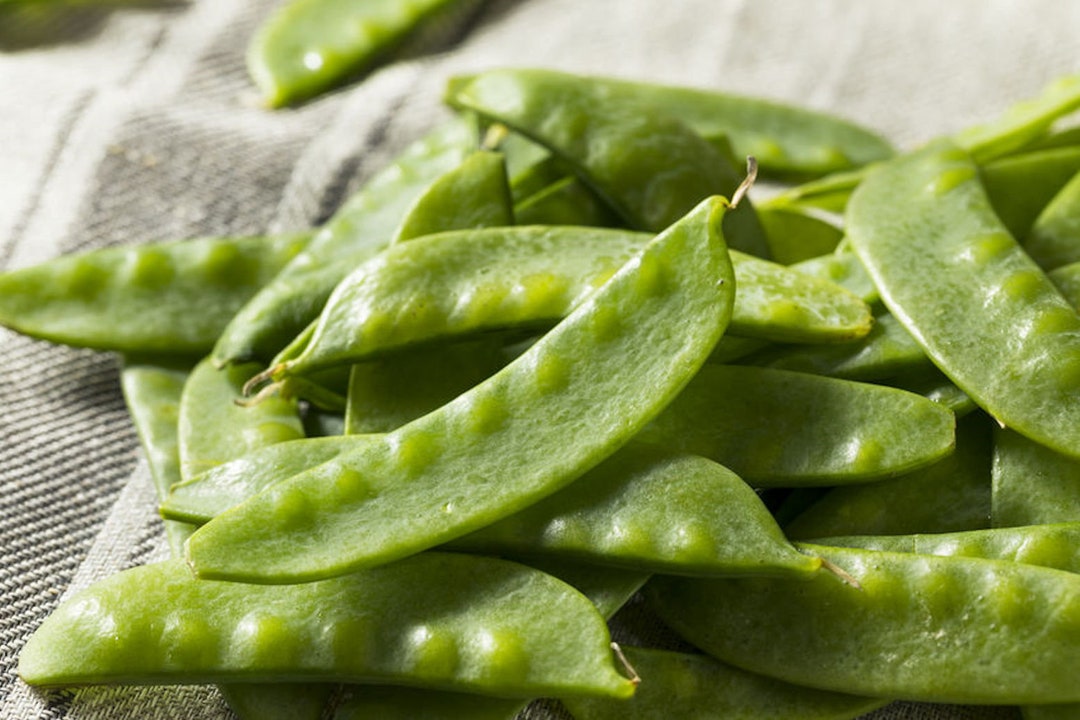 Heirloom Vegetable Snow Pea Seeds-oregon Sugar Pod II- Save Big on More ...