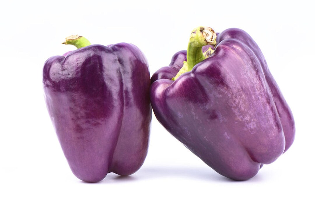 20 Sweet Lilac Bell Pepper Pepper SEEDS! - Etsy