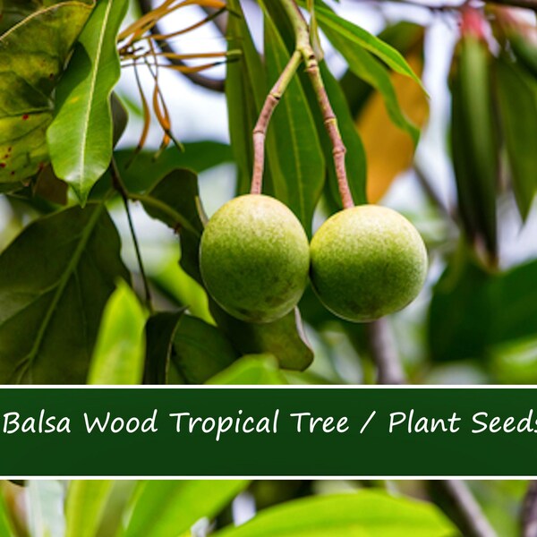 Balsa Wood Flower - Etsy